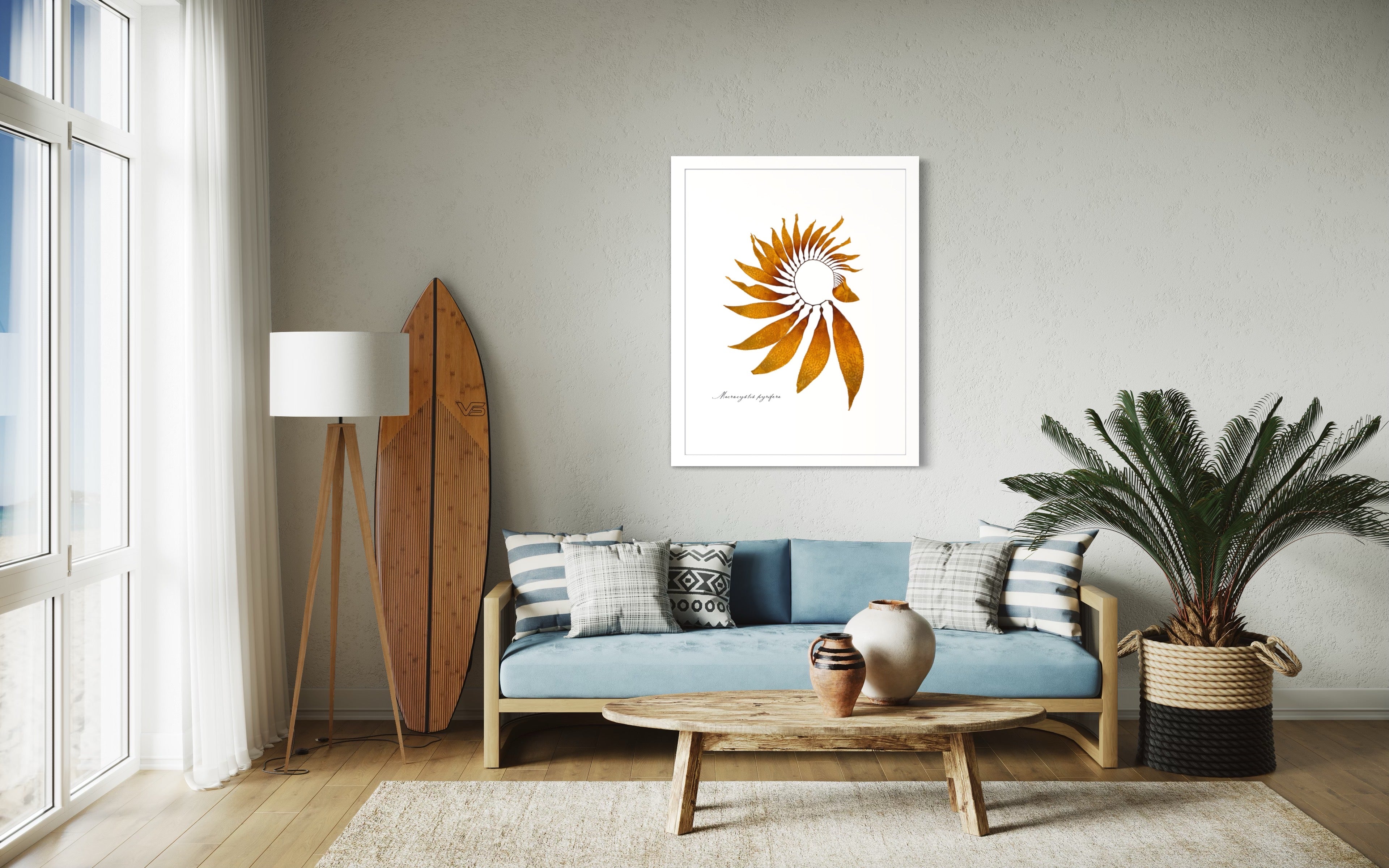 Kelp Collection – Holdfast Botanical